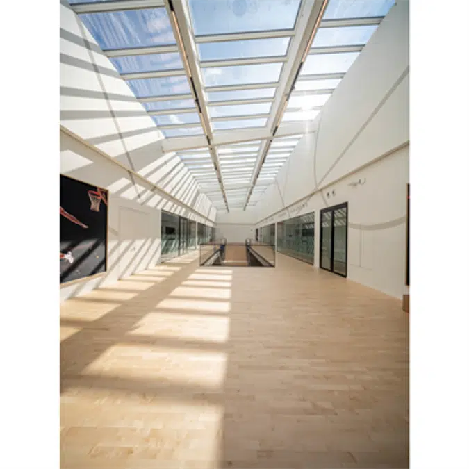 BIM objects - Free download! Step Longlight 5-25° | BIMobject