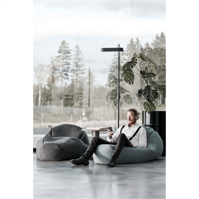 BIM objects - Free download! Monstera | BIMobject