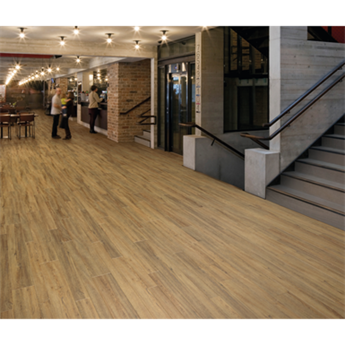 BIM objects - Free download! Expona Bevel Line PUR (Wood) | BIMobject