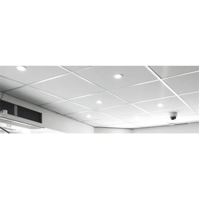 BIM objects - Free download! PINTO DOWNLIGHT | BIMobject