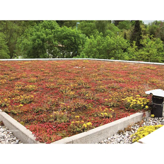 BIM objects - Free download! CITYFLOR®, Green Roof system | BIMobject