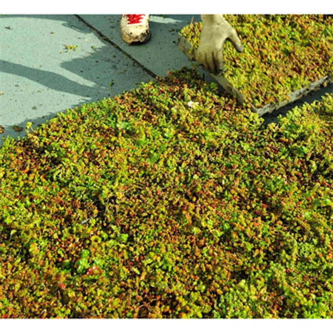 BIM objects - Free download! CITYFLOR®, Green Roof system | BIMobject