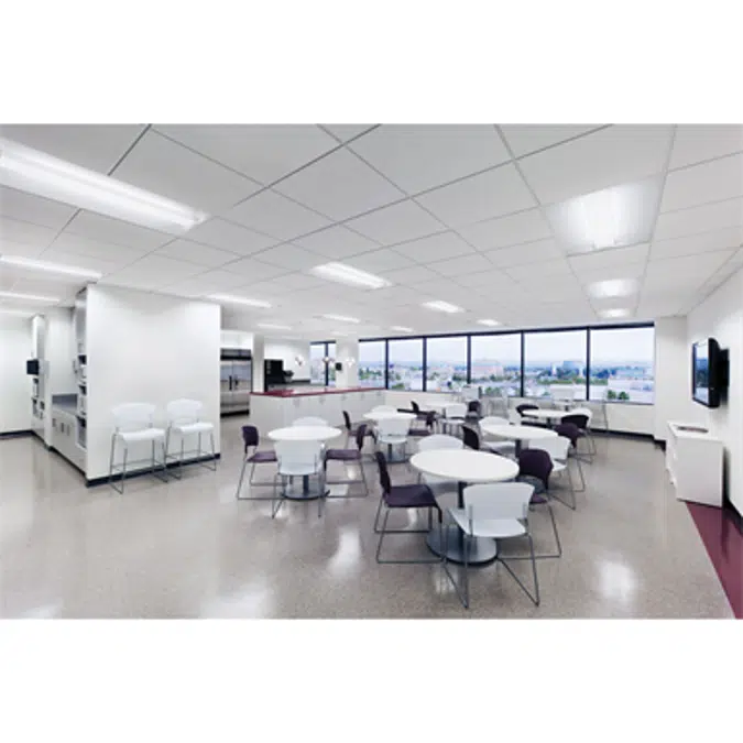 BIM objects - Free download! FluxGrid Recessed LED: 2x4 | BIMobject