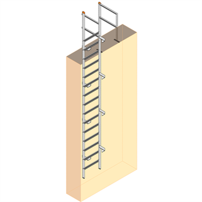 BIM objects - Free download! Tubular Aluminum Fixed Ladder w/ Walk-Thru ...