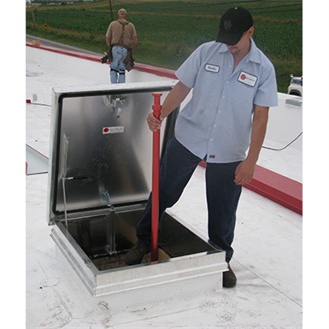 BIM objects - Free download! Extend-A-Rail Ladder Safety Post | BIMobject