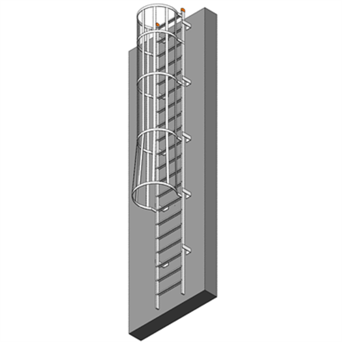 BIM objects - Free download! Tubular Aluminum Fixed Ladder w/ Cage To ...