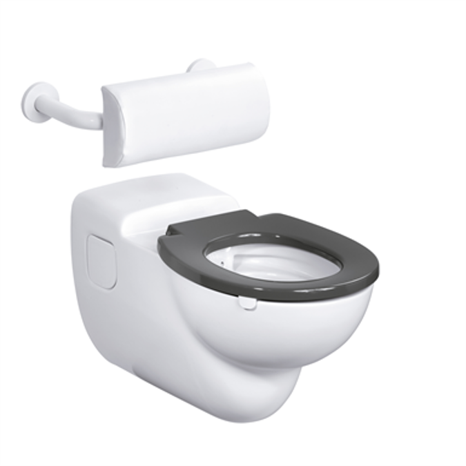 BIM objects - Free download! Contour 21 Rimless Wall Mounted WC Pan ...