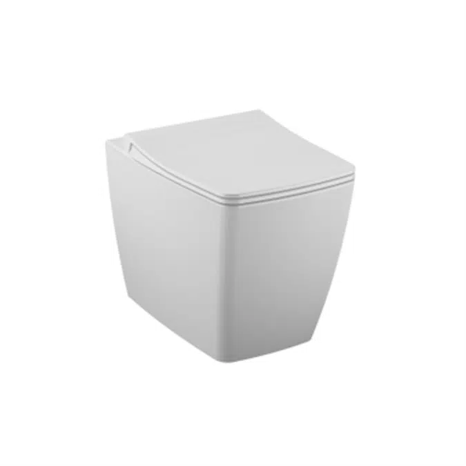 BIM objects - Free download! WC Pan - Floor Mounted - Back to Wall - Single WC Pan - 54cm ...
