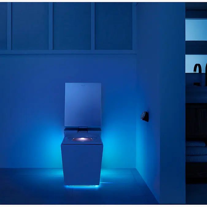 Kohler smart toilet store