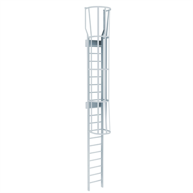 BIM 객체 - 무료로 다운로드하세요! 534 Tubular Rail Low Parapet Cage Ladder with ...
