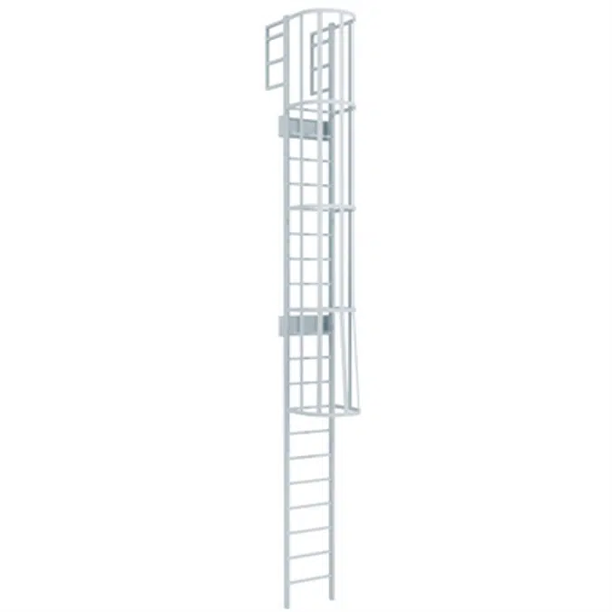 BIM objects - Free download! 532 Cage Ladder with Roofover Rail ...