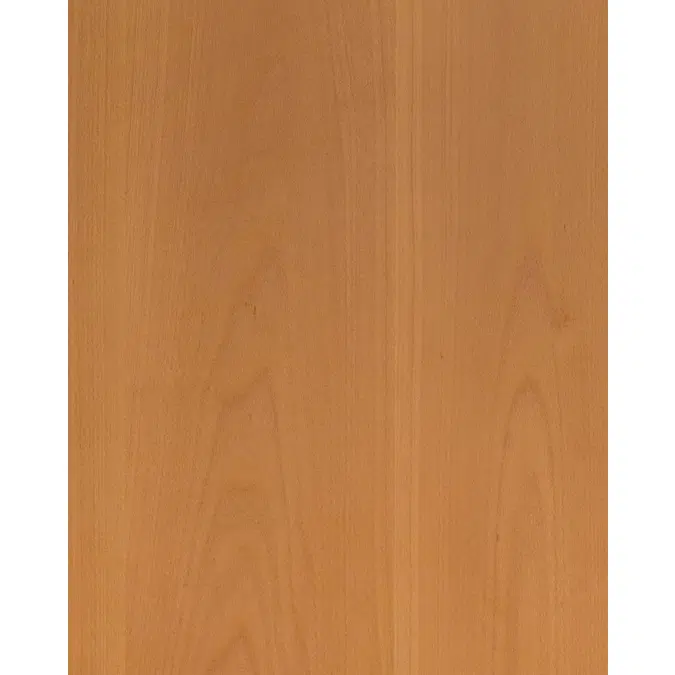 BIM objects - Free download! Beech steamed back N517L | BIMobject