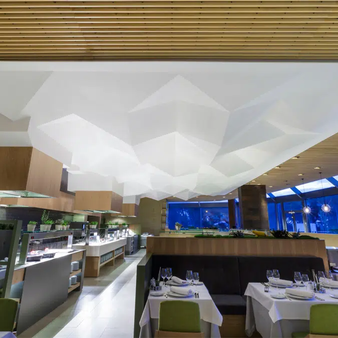 Rockfon Mono Acoustic Ceilings | Shelly Lighting