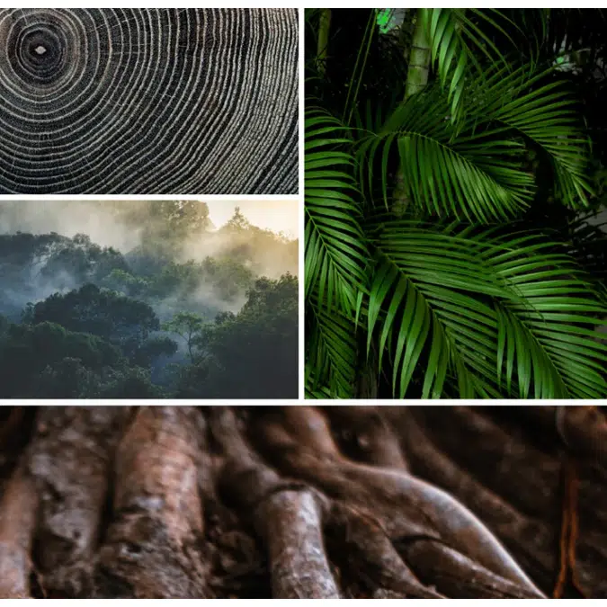 BIM objects - Free download! Wildwood Cladding - Eden Collection ...