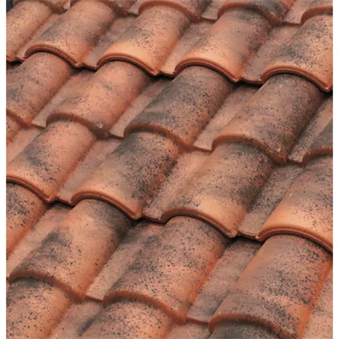 BIM objects - Free download! Double Mixed Roof Tile | BIMobject