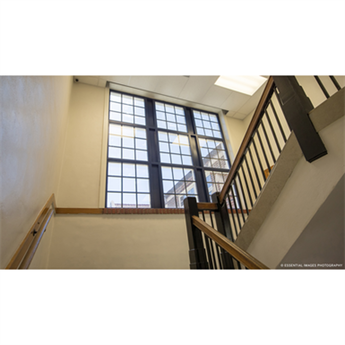 BIM objects - Free download! FireLite Plus® Fire-Rated, Safety-Rated ...