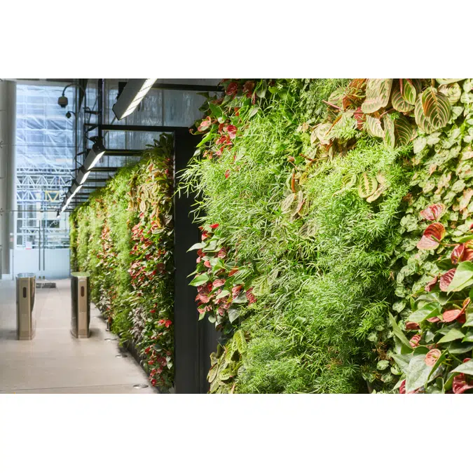 BIM objects - Free download! ANS Interior Living Green Wall System ...