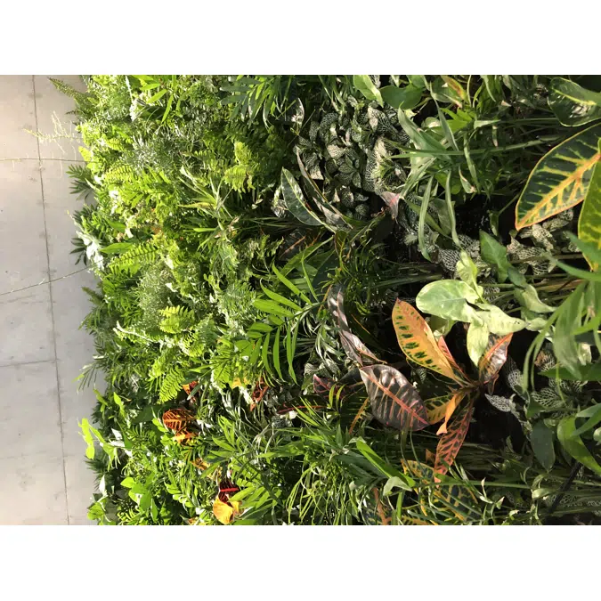 BIM objects - Free download! ANS Interior Living Green Wall System ...