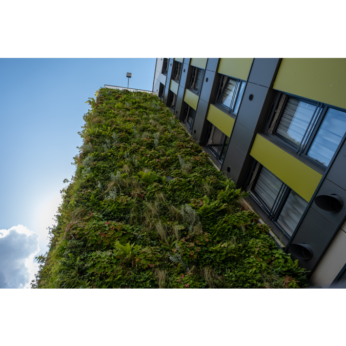 BIM objects - Free download! ANS Exterior Living Green Wall System ...