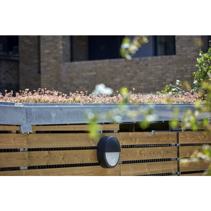 BIM objects - Free download! ANS GrufeKit Green Roof System – Sedum and ...