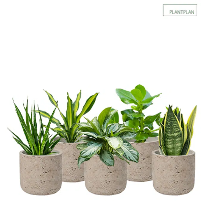 BIM objects - Free download! Set of 5 x Grey, Concrete Effect Pots ...