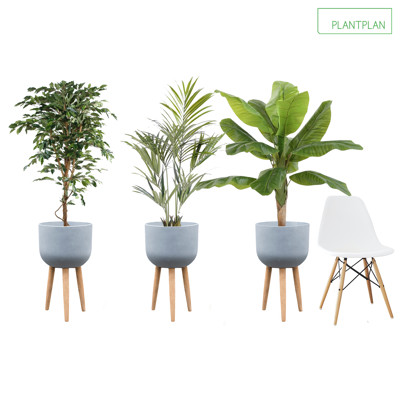 BIM objects - Free download! plants | BIMobject