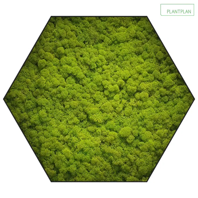 BIM objects - Free download! Hexagonal Wall Panel - Reindeer Moss ...