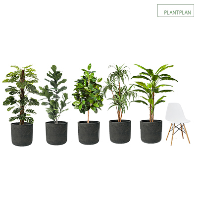 BIM objects - Free download! plants | BIMobject