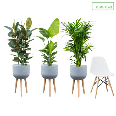 BIM objects - Free download! plants | BIMobject