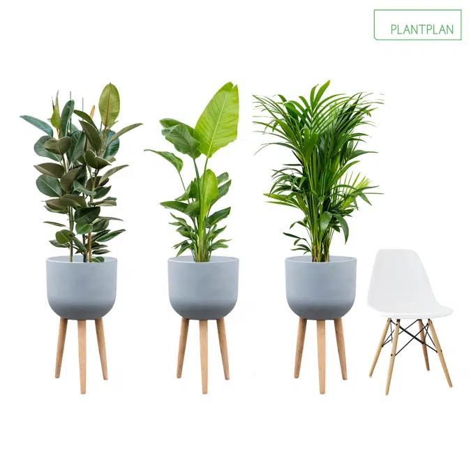 BIM objects - Free download! 3 x Grey Planters with Timber Legs - Mixed ...