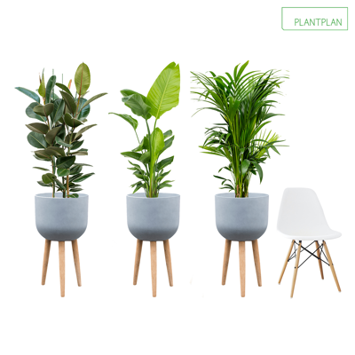 BIM objects - Free download! plants | BIMobject