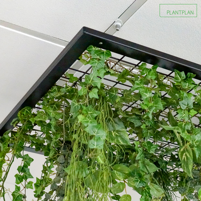 BIM objects - Free download! Replica Foliage Ceiling Raft - 3000mm x ...