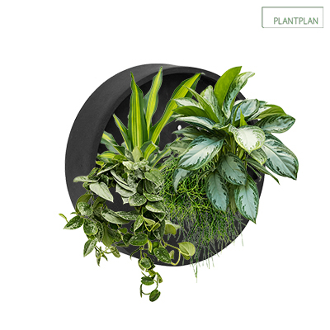 BIM objects - Free download! Black Wall Mounted Planter - 400mm - Live ...