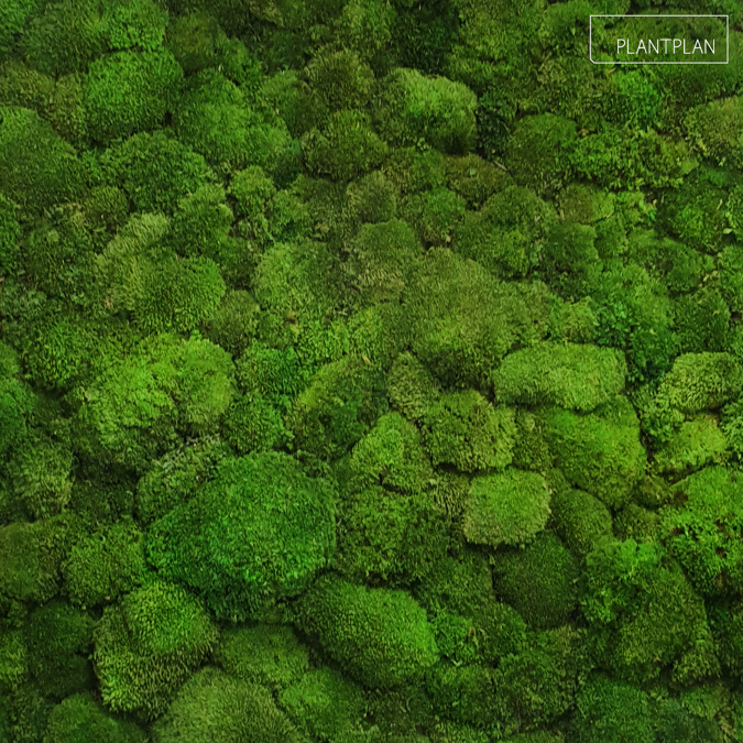 BIM objects - Free download! Bun Moss Wall Panel - 1m2 | BIMobject