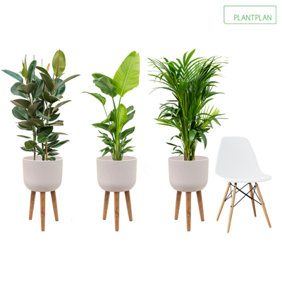 BIM objects - Free download! plants | BIMobject