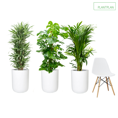 BIM objects - Free download! plants | BIMobject