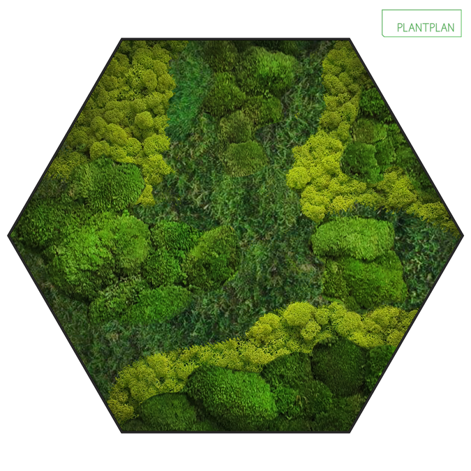 BIM objects - Free download! Hexagonal Wall Panel - Mixed Moss - 600mm ...