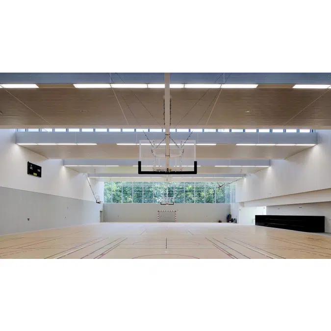 BIM objects - Free download! Lumaflex Extrême Omnisports Compact ...