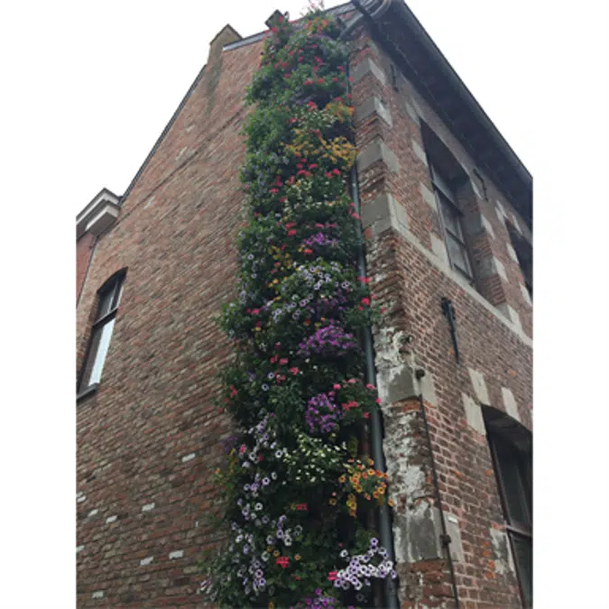 BIM objects - Free download! Green Wall | BIMobject