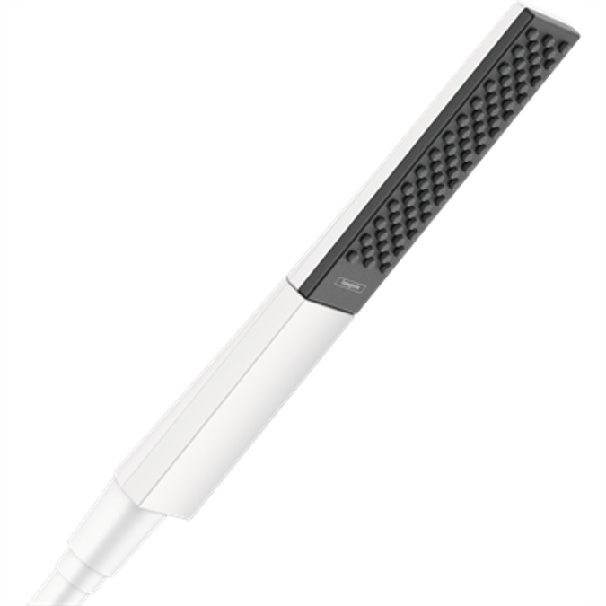 BIM objects - Free download! Rainfinity Baton hand shower 100 1jet ...