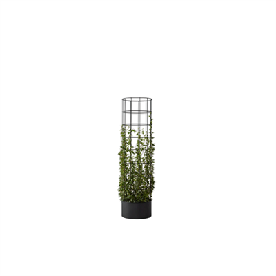 BIM objects - Free download! flower | BIMobject