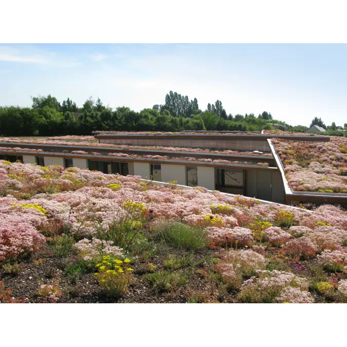 BIM objects - Free download! Warm Green Roofing System with Sarnafil ...