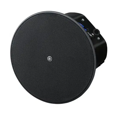BIM objects - Free download! ceiling speaker cad block | BIMobject