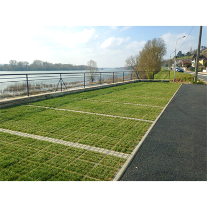 BIM objects - Free download! 100% grass with 2 paved lines | BIMobject