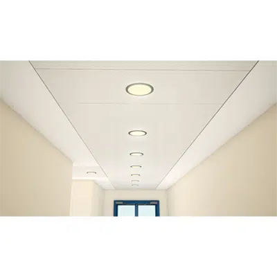 BIM 对象 - 免费下载！ GFRP Wall & Ceiling Panels | BIMobject