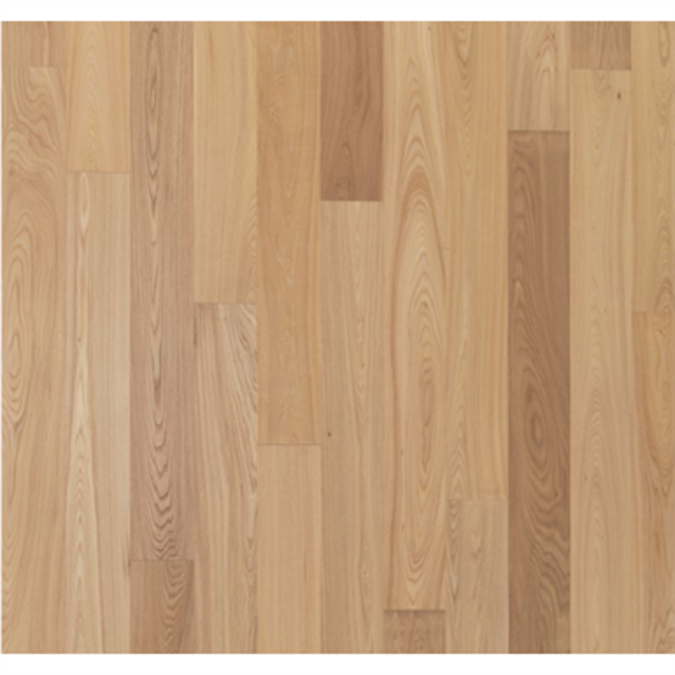 BIM objects - Free download! Olmo | BIMobject