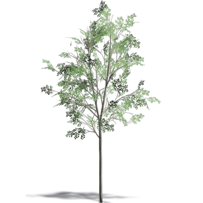 BIM objects - Free download! Sycomore | BIMobject