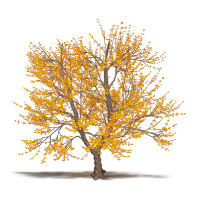 BIM objects - Free download! entourage | BIMobject