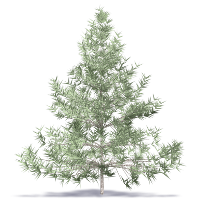 BIM objects - Free download! trees plants shrubs | BIMobject