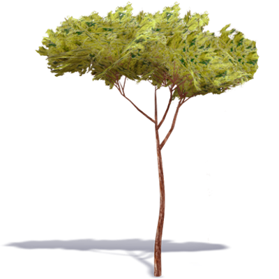 BIM objects - Free download! trees plants shrubs | BIMobject